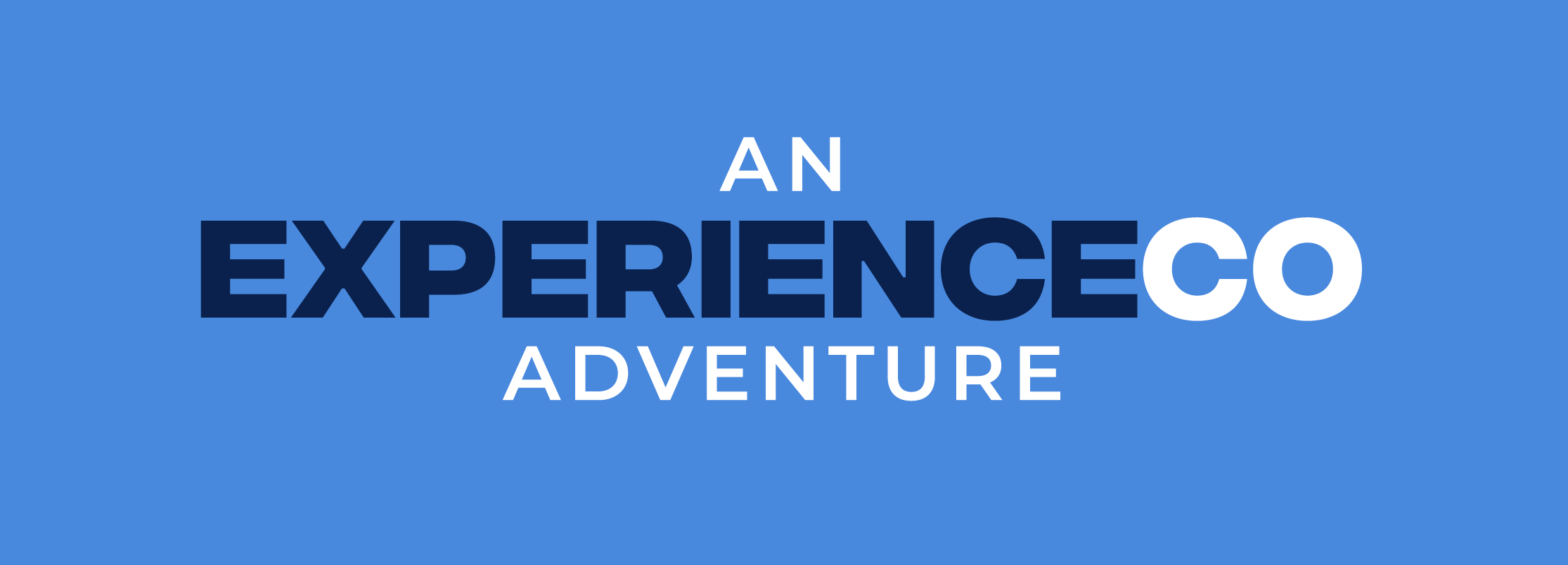 Experience Co Unveils New Brand - Experience Co